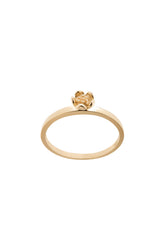 Botanical – Karen Walker